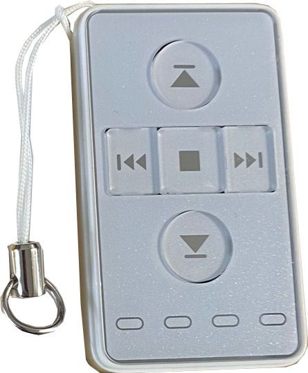 Ellard Genuine Remote Control Handset for Group Control Unit by UK ...